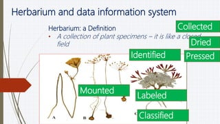 Herbarium Management | PPTX