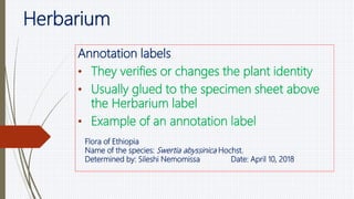 Herbarium Management | PPTX
