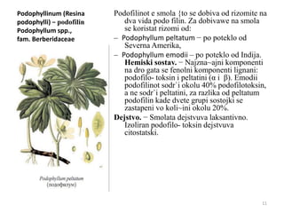 Herbarium na lekoviti bilki | PPT