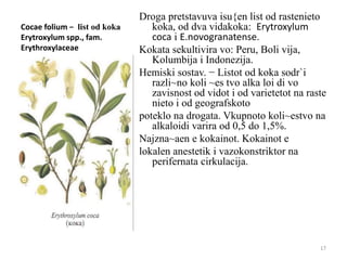 Herbarium na lekoviti bilki | PPTX