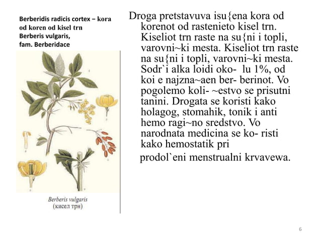 Herbarium na lekoviti bilki | PPT