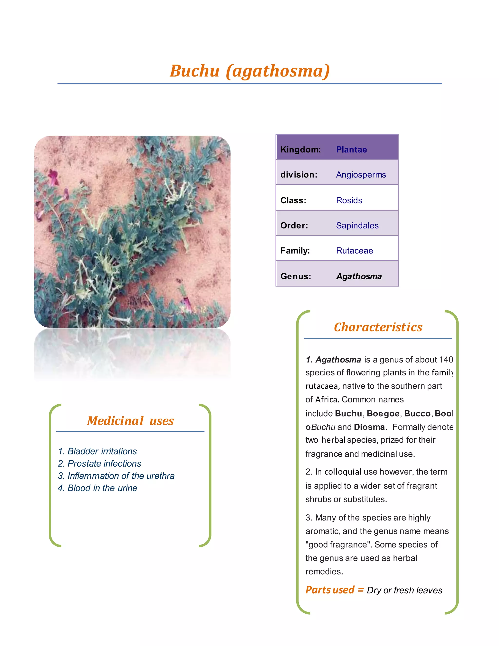 Herbarium of Africa | DOCX