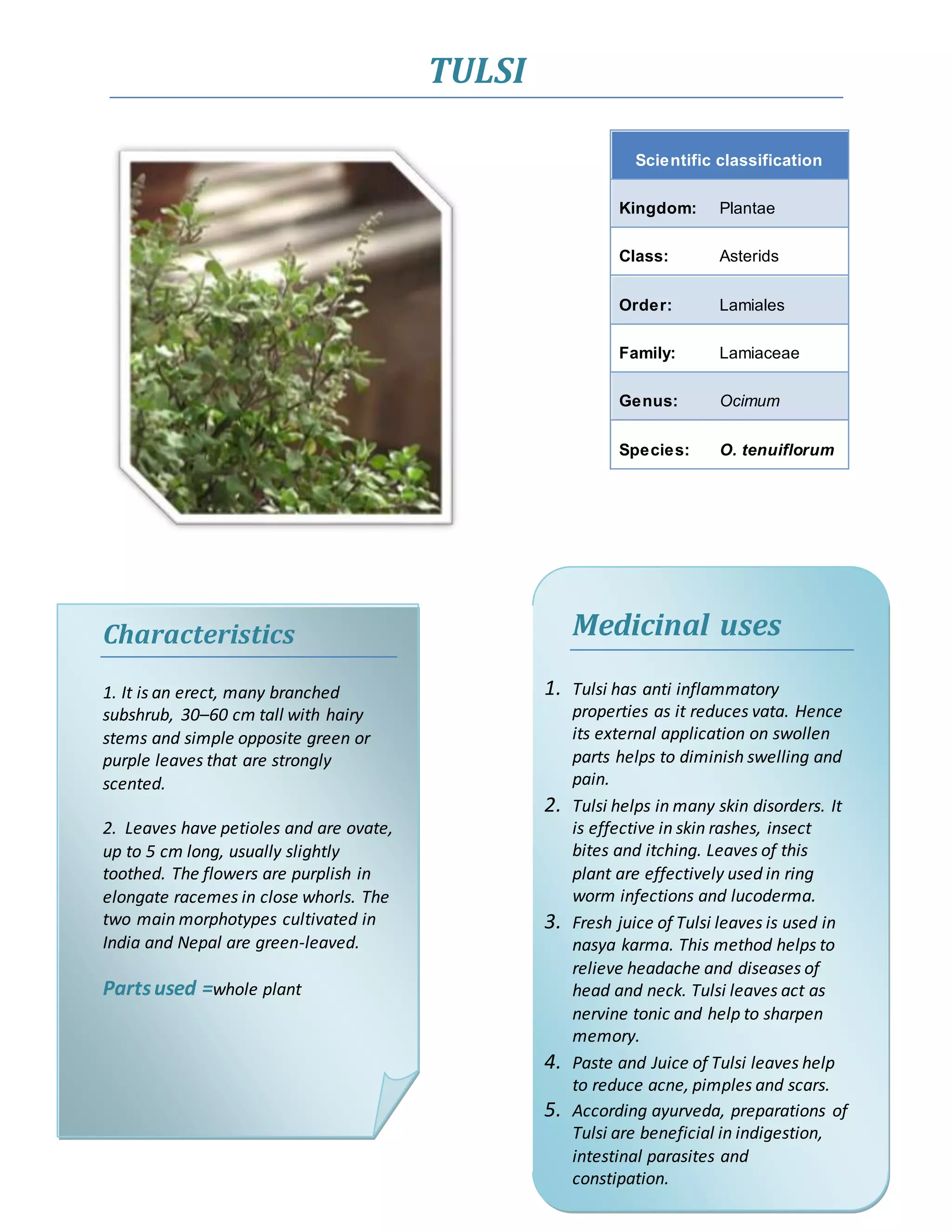 Herbarium of INDIA | DOCX