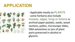 HERBARIUM SHEET MOUNTS.pptx