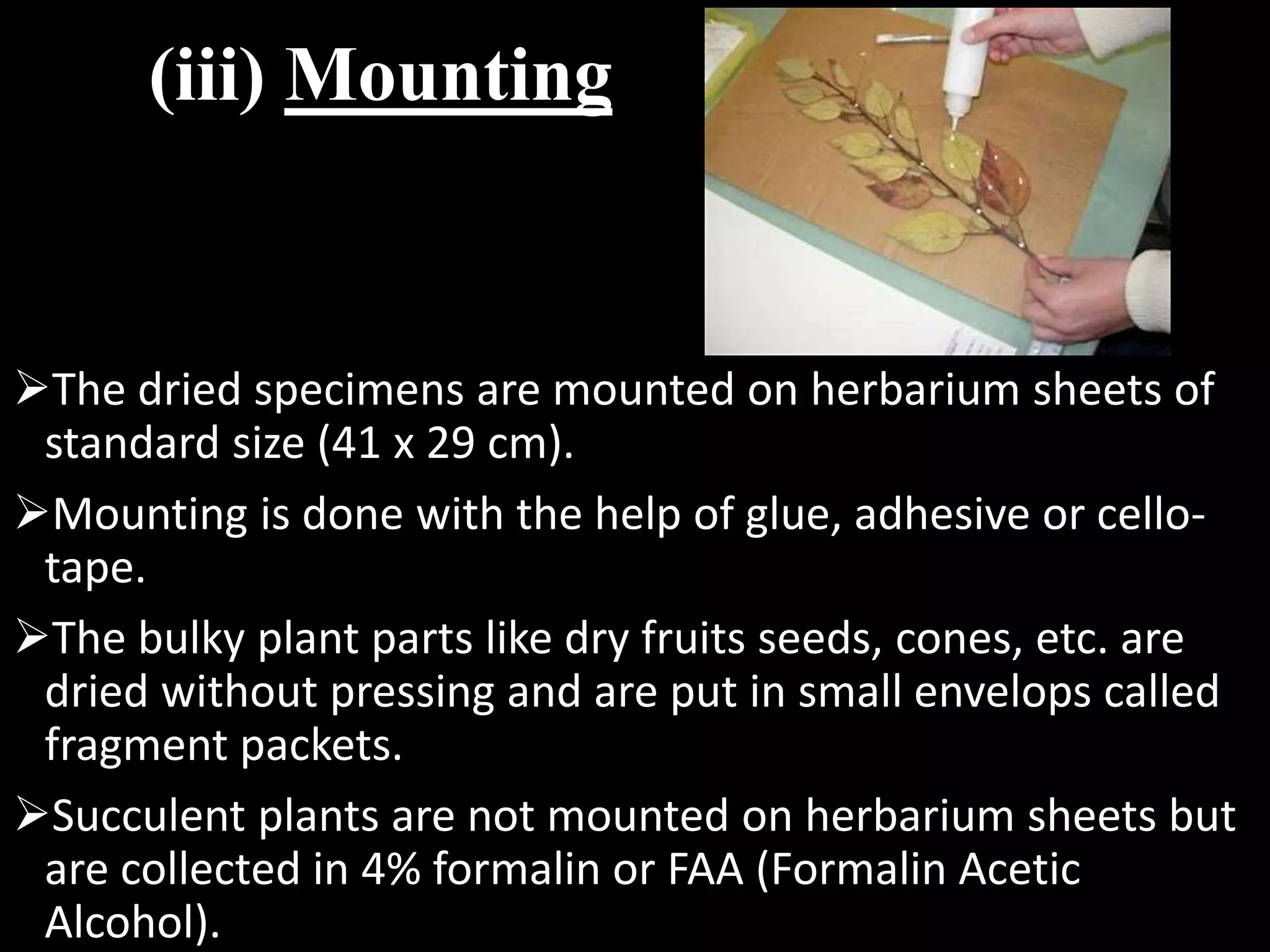 Herbarium Techniques | PPTX