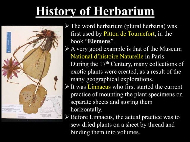 Herbarium Techniques | PPTX