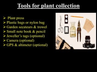 Herbarium Techniques | PPTX