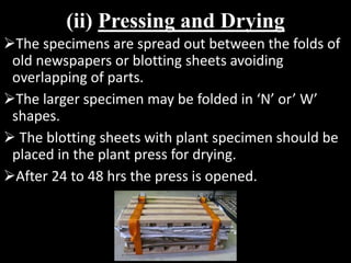 Herbarium Techniques | PPTX