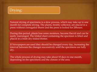 Herbarium, Uses , Functions & Importance.pdf