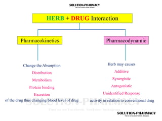 Drug Herb Interactions