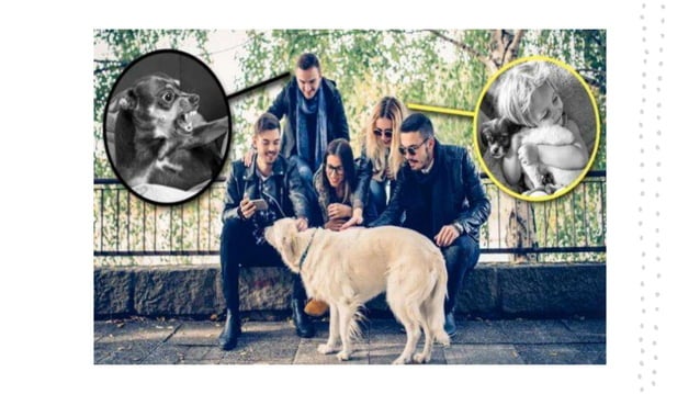 Herbert Blumer -Jibin Roji.pptx