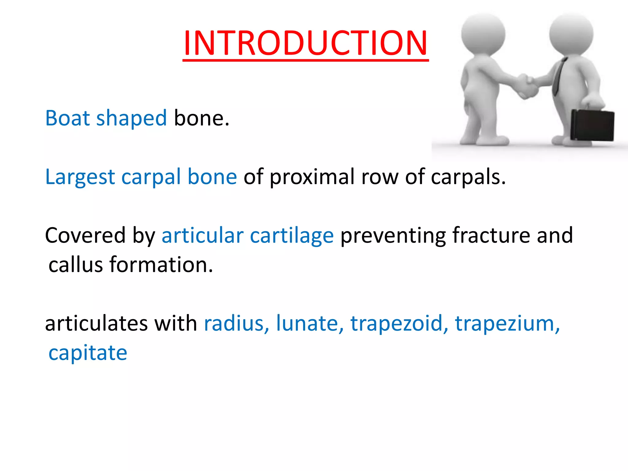 Herbert screw fixation and bone graft in nonunited scaphoid | PPTX