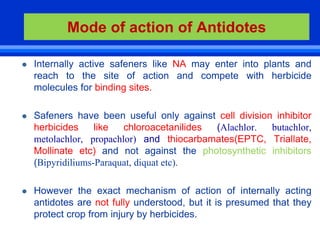 HERBICIDE ANTIDOTES & HERBICIDE MIXTURE.ppt