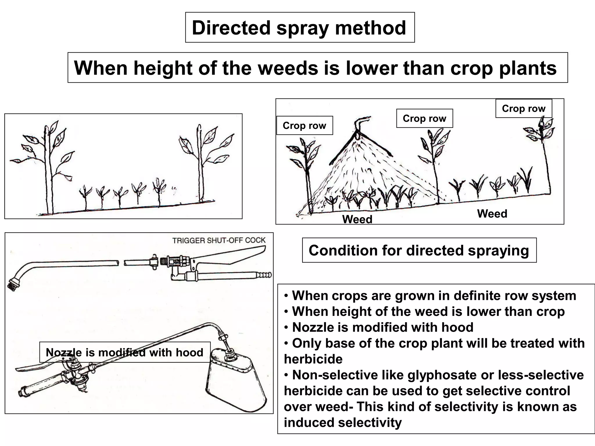 Herbicide application technique pijush kanti mukherjee (icar-ivri) | PDF