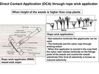 Herbicide application technique pijush kanti mukherjee (icar-ivri) | PDF
