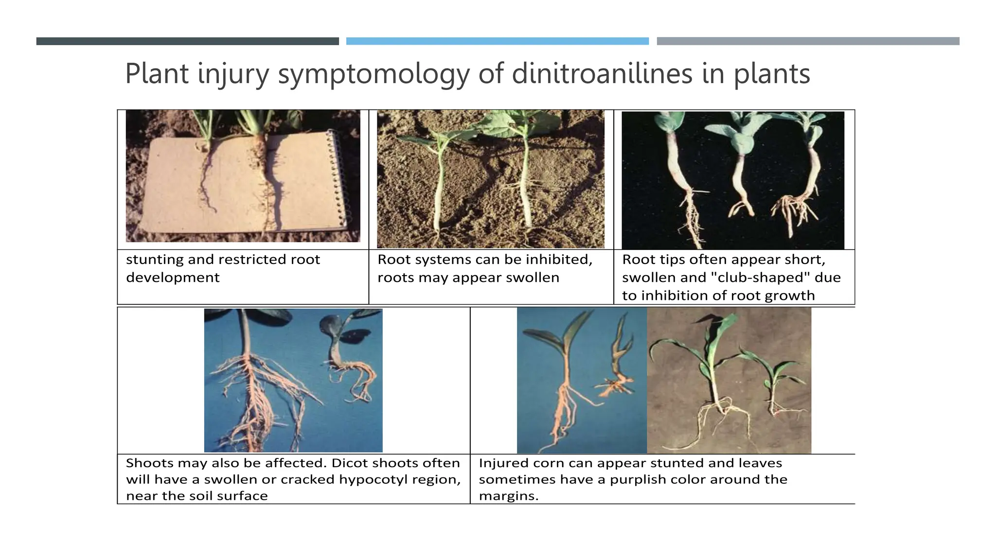 Herbicide definition and its classification .pptx