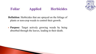 Dr T.Meera (Plant Pathology) - Herbicide Classification.pdf