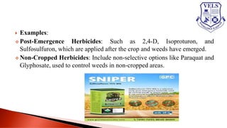 Dr T.Meera (Plant Pathology) - Herbicide Classification.pdf