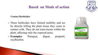 Dr T.Meera (Plant Pathology) - Herbicide Classification.pdf