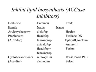 Herbicide classification by mode of action | PPT