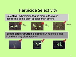 Herbicide history.ppt