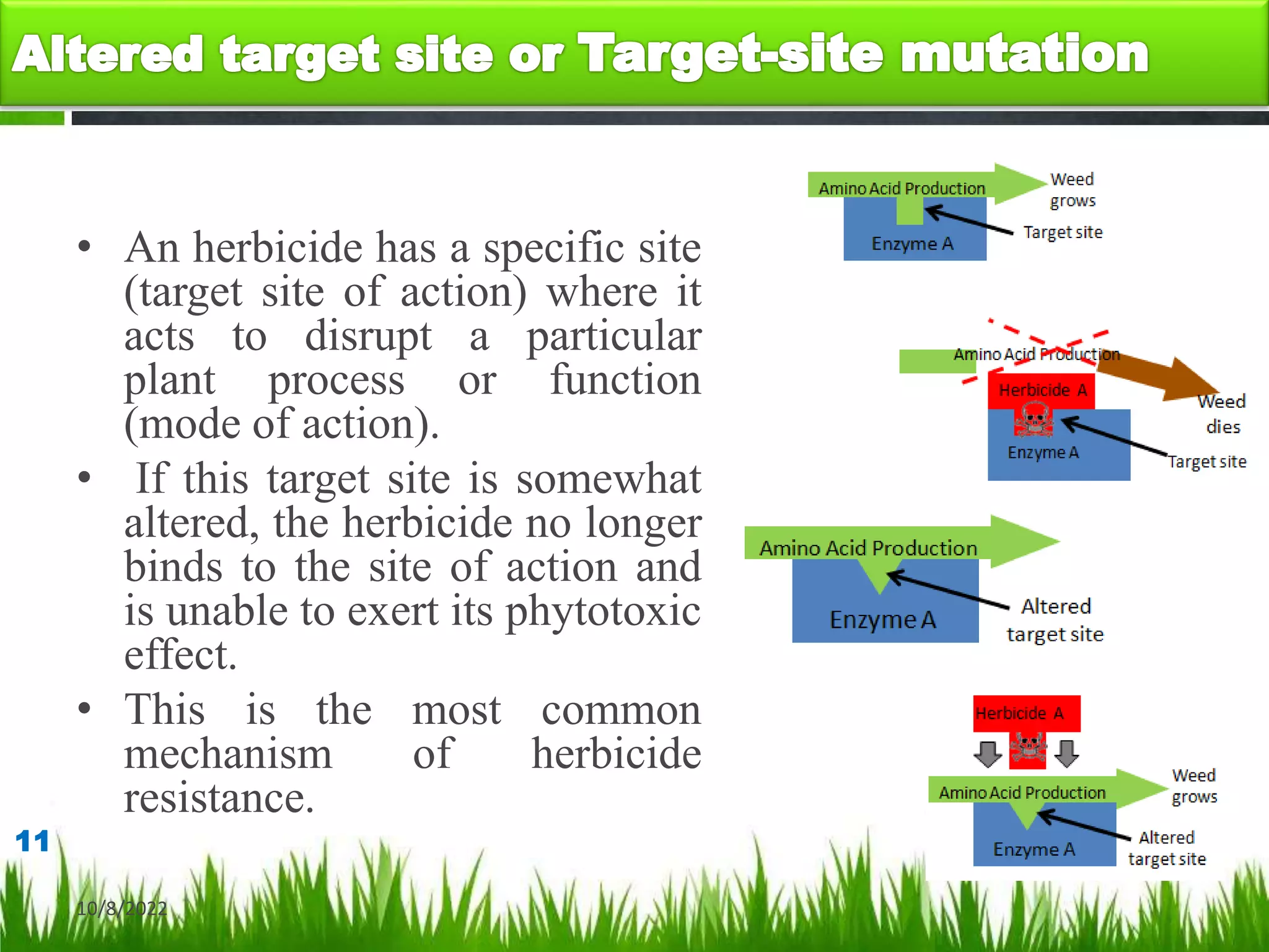 Herbicide Resistance.pptx
