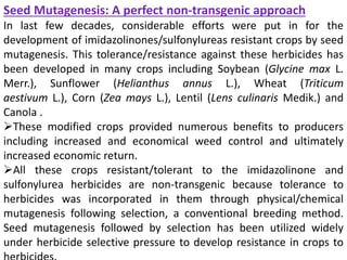 Herbicide resistance breeding | PPTX