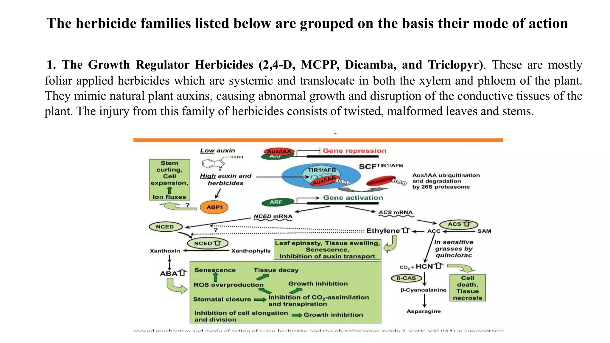 Herbicides classification,their development history and mode of action ...