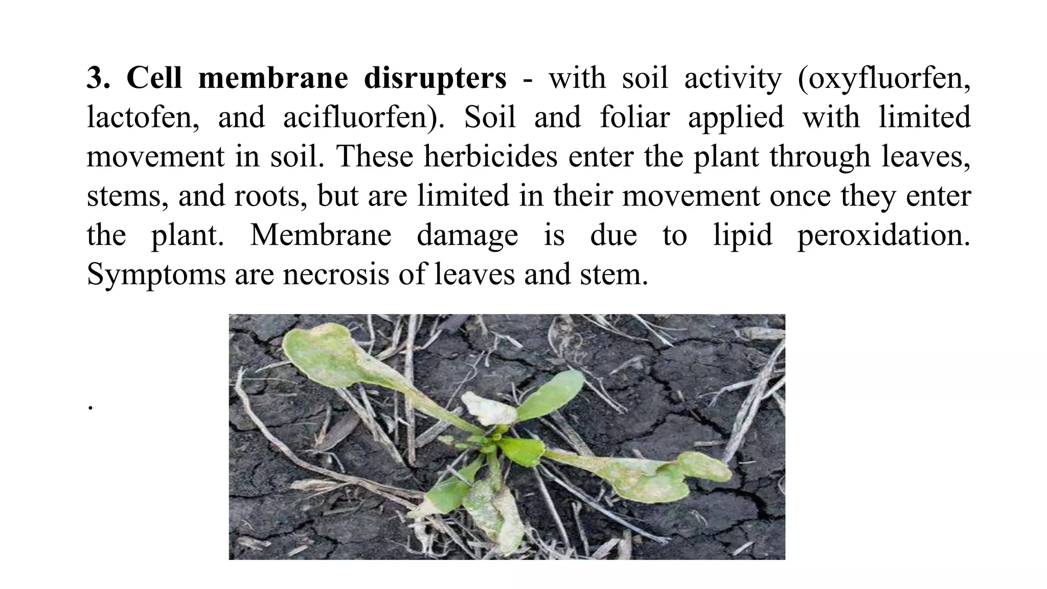 Herbicides classification,their development history and mode of action ...