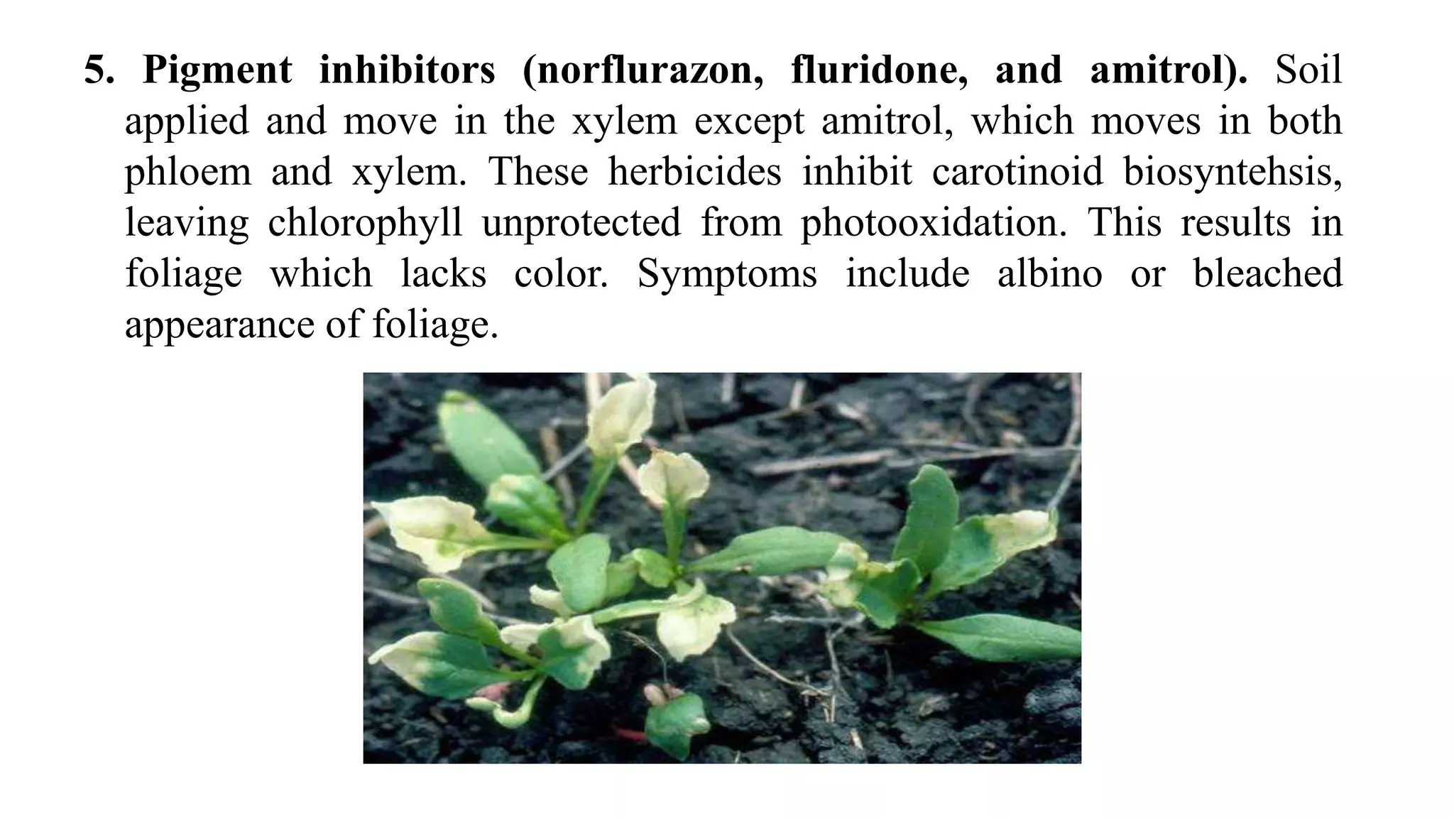 Herbicides classification,their development history and mode of action ...