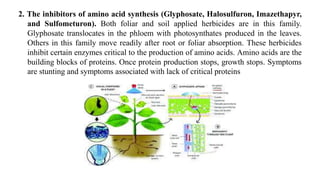 Herbicides classification,their development history and mode of action ...