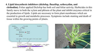 Herbicides classification,their development history and mode of action ...