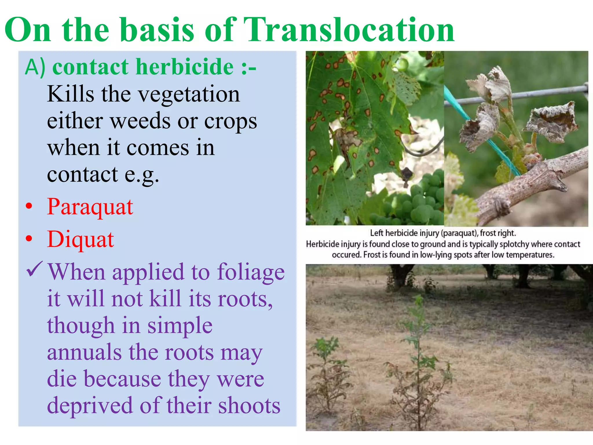 Classification of herbicides.pptx