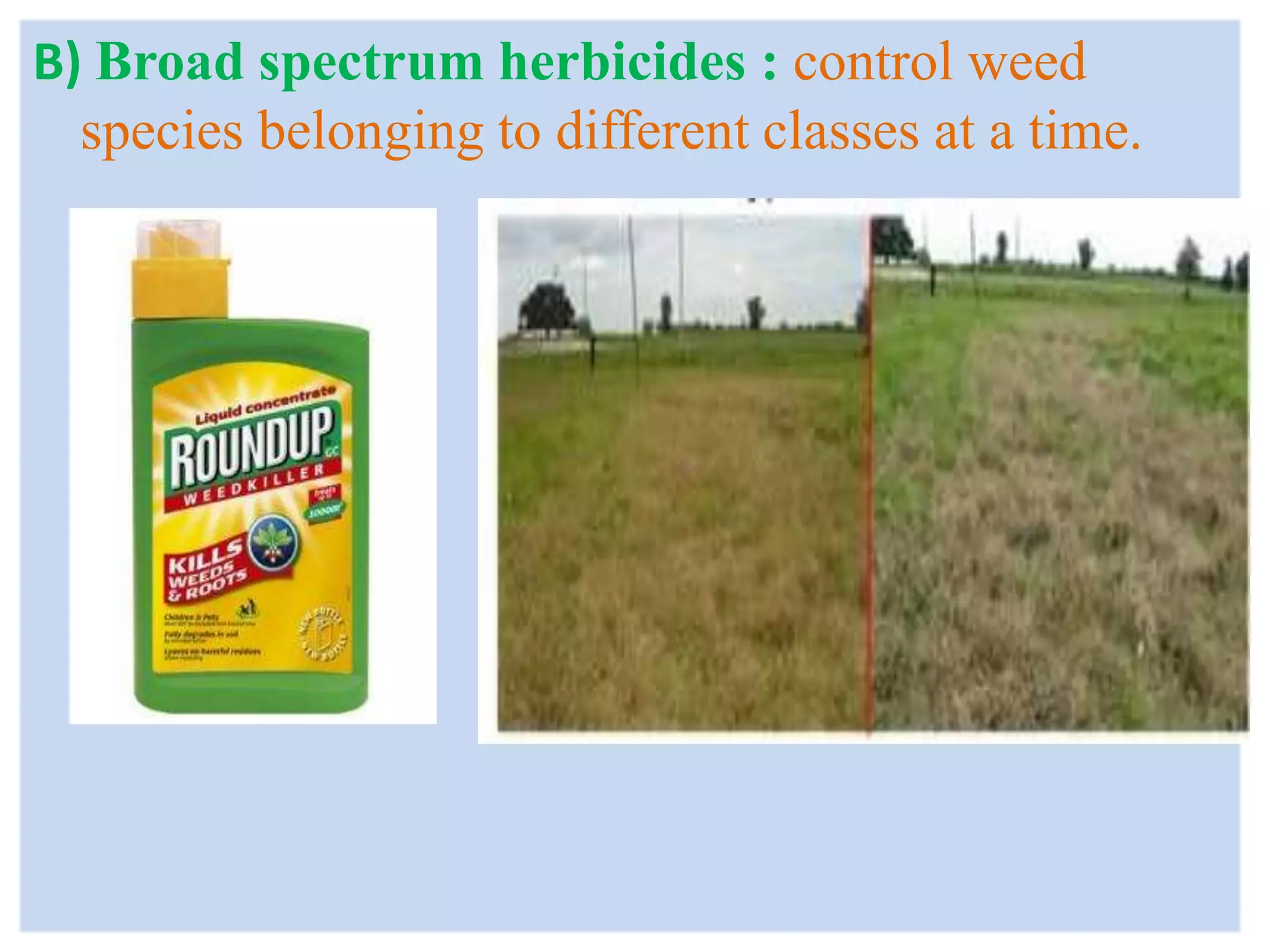 Classification of herbicides.pptx