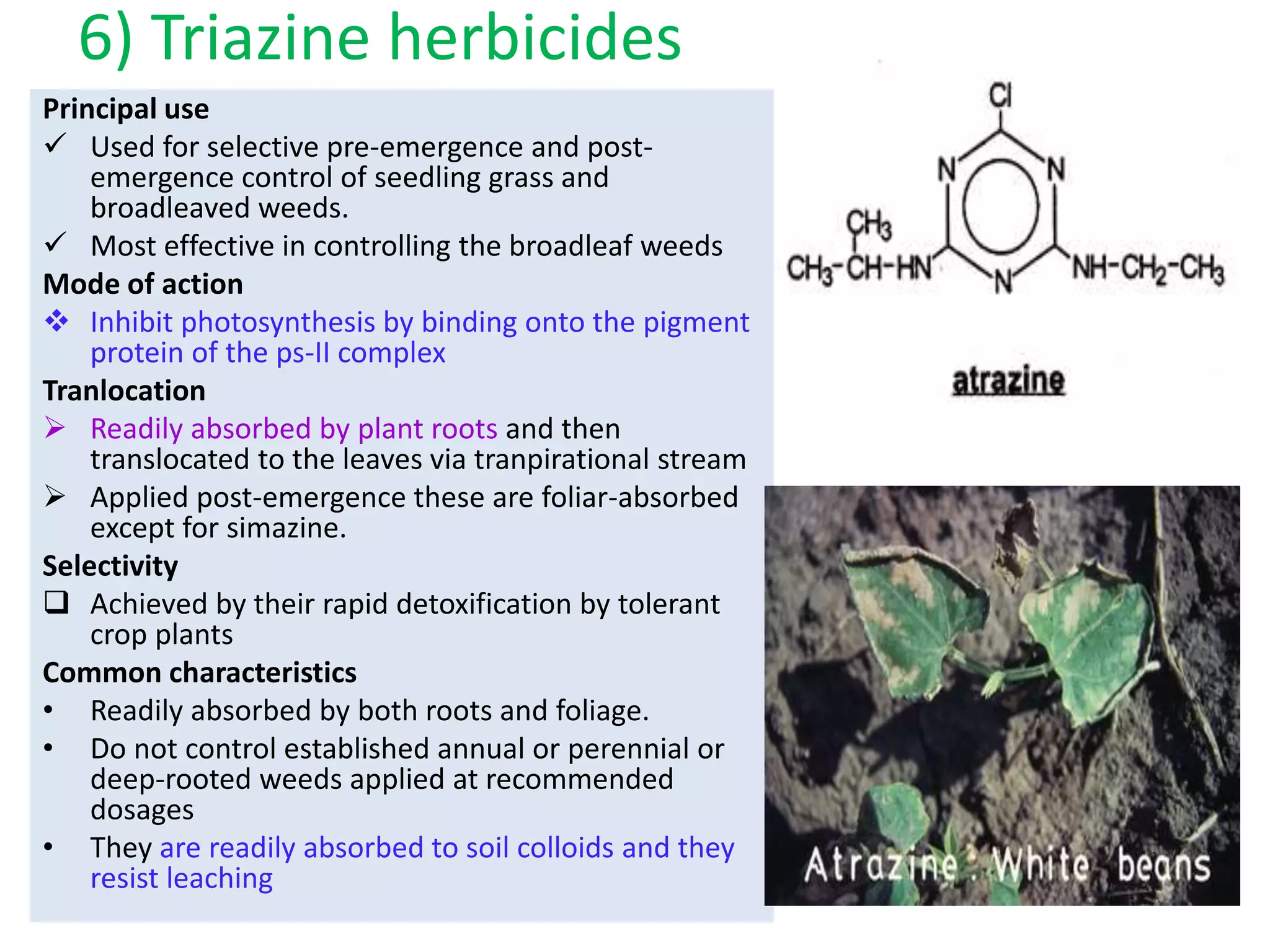 Classification of herbicides.pptx