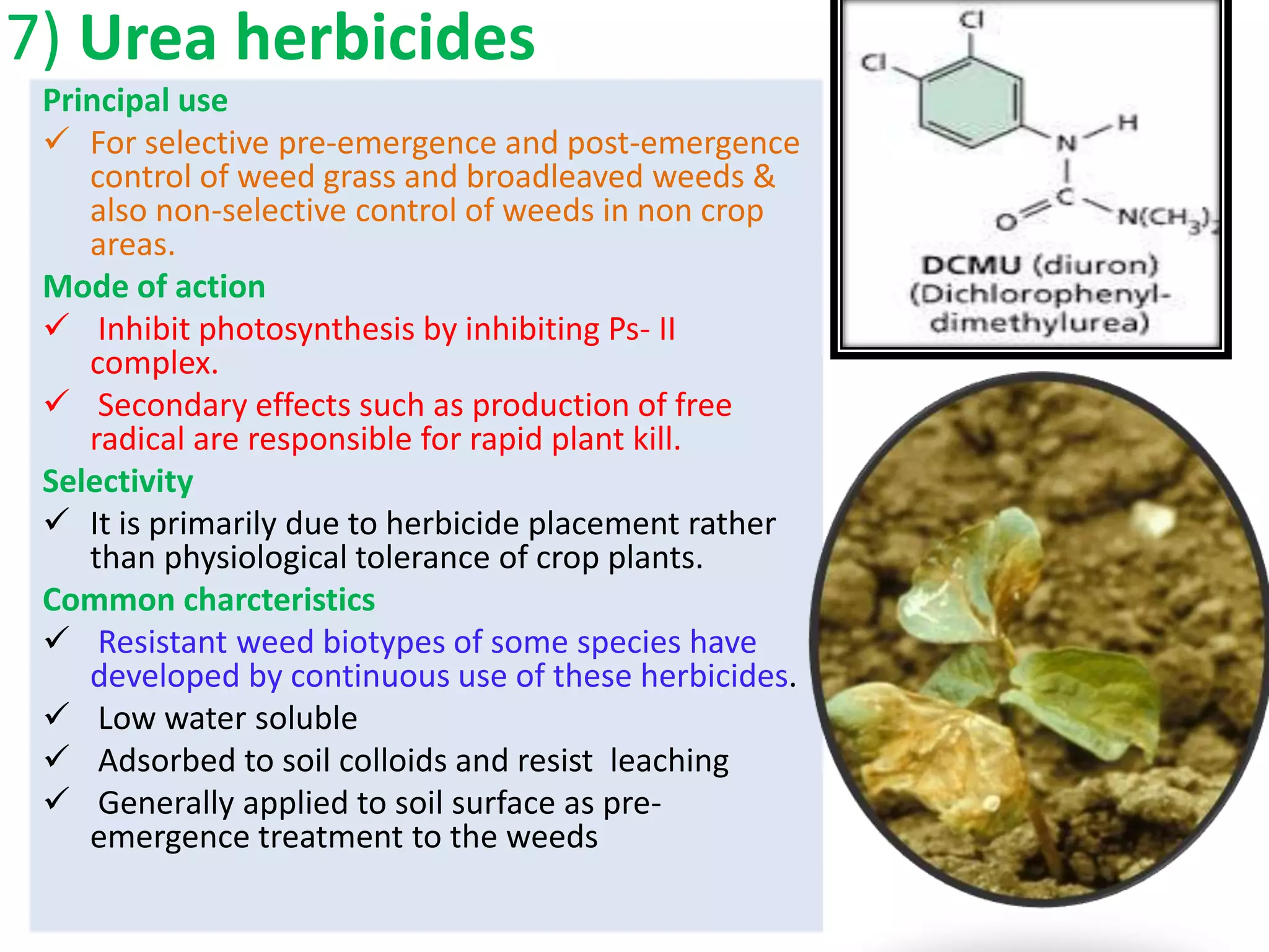 Classification of herbicides.pptx