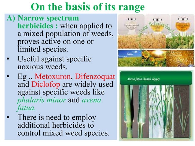 Classification of herbicides.pptx | Agriculture | Industries
