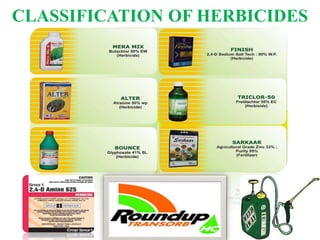 Meet GROW's New Page: The Basics of Herbicide Resistance