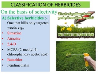 Classification of herbicides.pptx