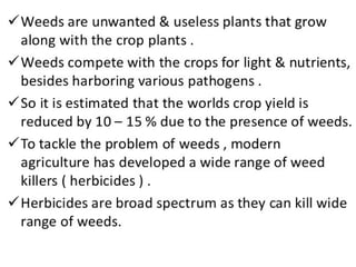 Herbicide tolerance in plants to reduce crop yield.pptx
