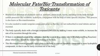 Chemical translocation & molecular fate | PPTX