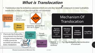 Chemical translocation & molecular fate | PPTX