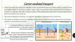 Chemical translocation & molecular fate | PPTX