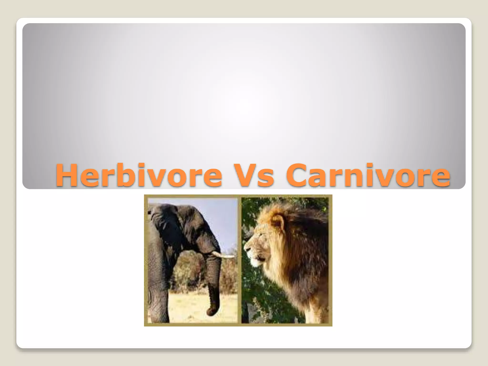 Herbivore Vs Carnivore.pptx | Pets