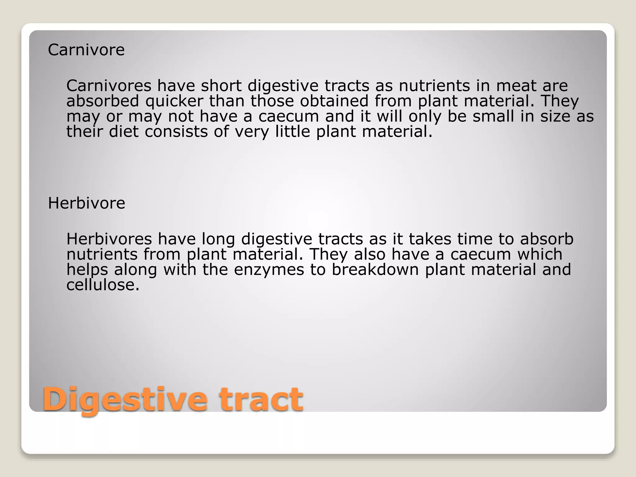 Herbivore Vs Carnivore.pptx | Pets