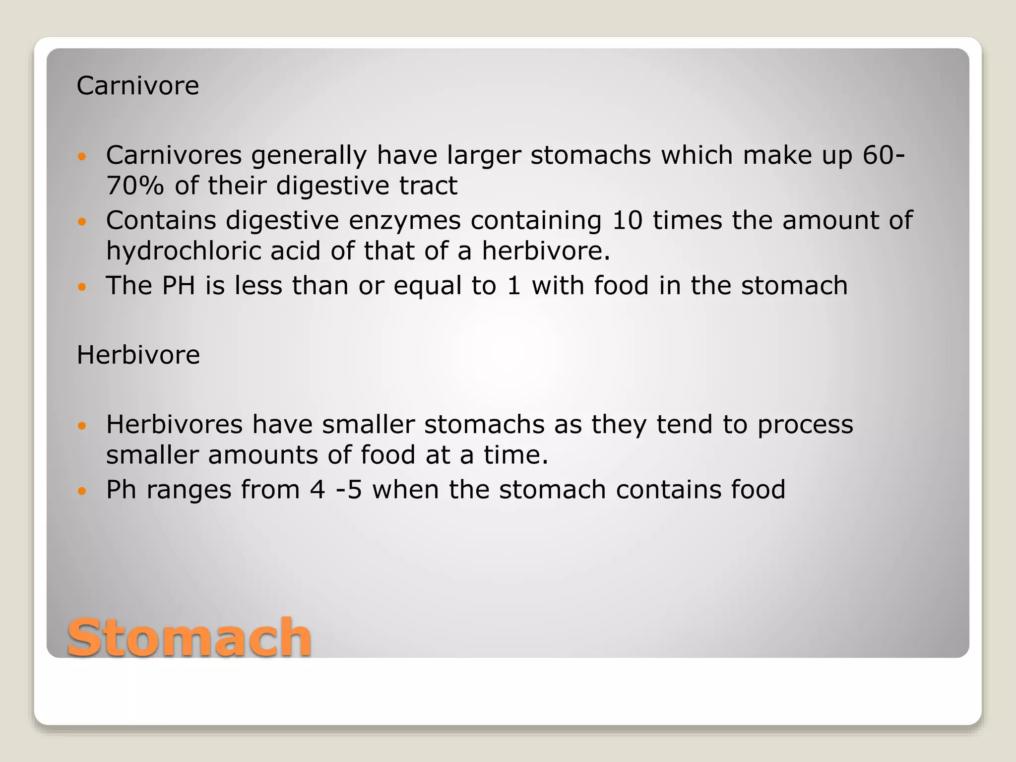 Herbivore Vs Carnivore.pptx | Pets