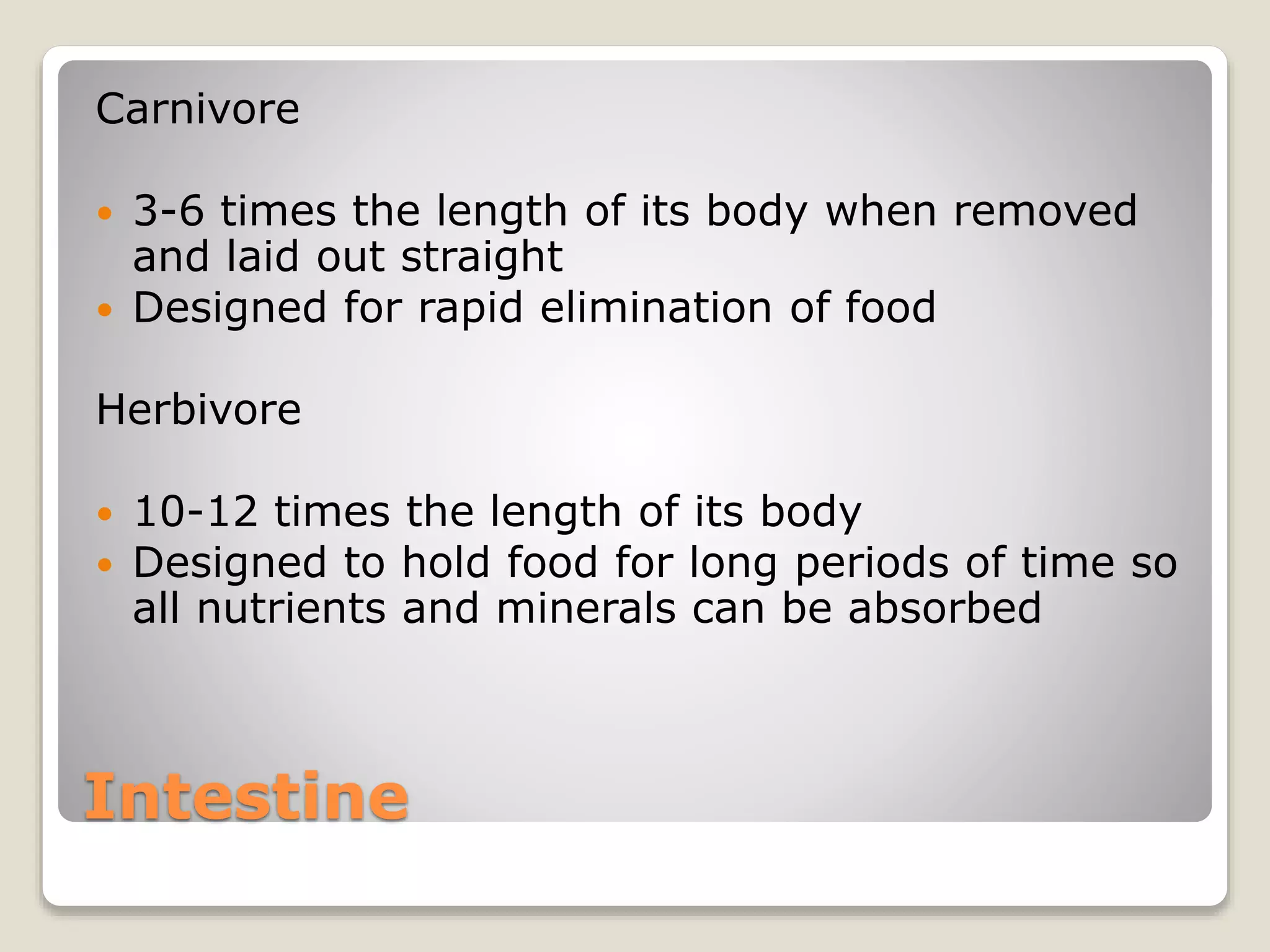 Herbivore Vs Carnivore.pptx | Pets