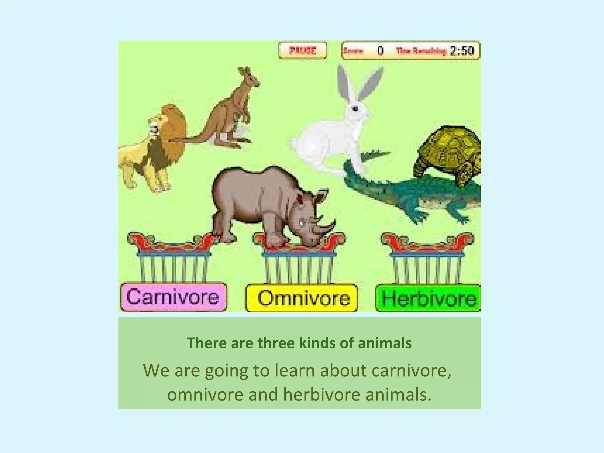 Herbivore, carnivore and omnivore animals | PPT