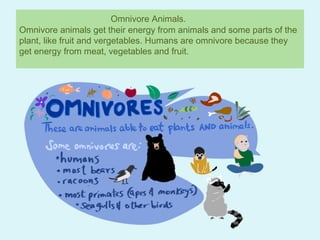 Herbivore, carnivore and omnivore animals | PPT