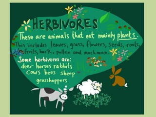 Organisms in an Ecosystem powerpoint | PPTX